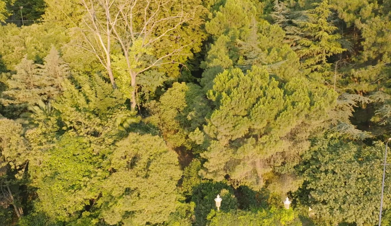 Rams Garden – Bahçelievler